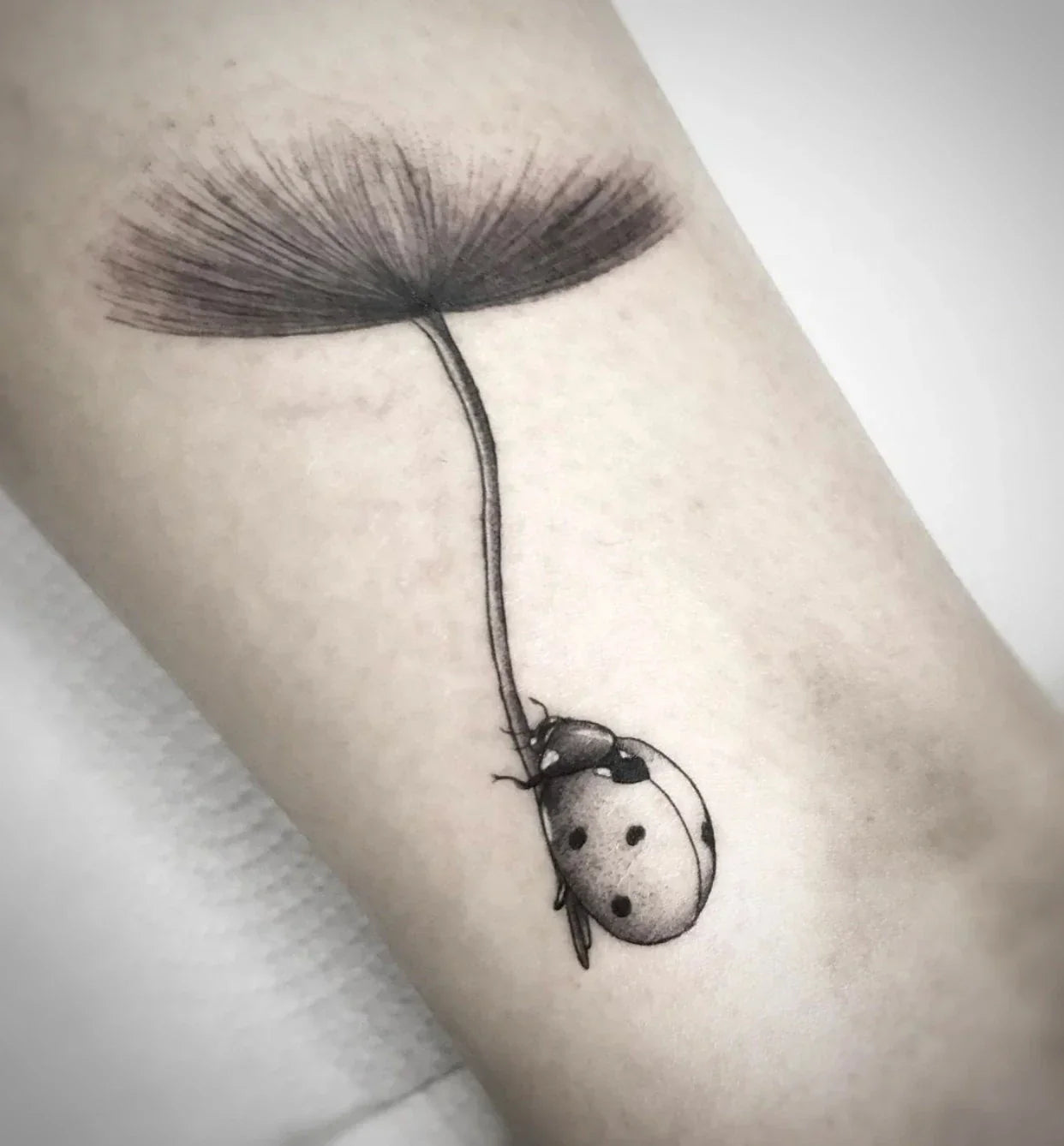 Walk-In vs Appointment Tattoos: What's Right for You? – Sacred Gold